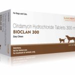バイオクラン 300mg 10錠 | 医薬品通販安心くすりネット